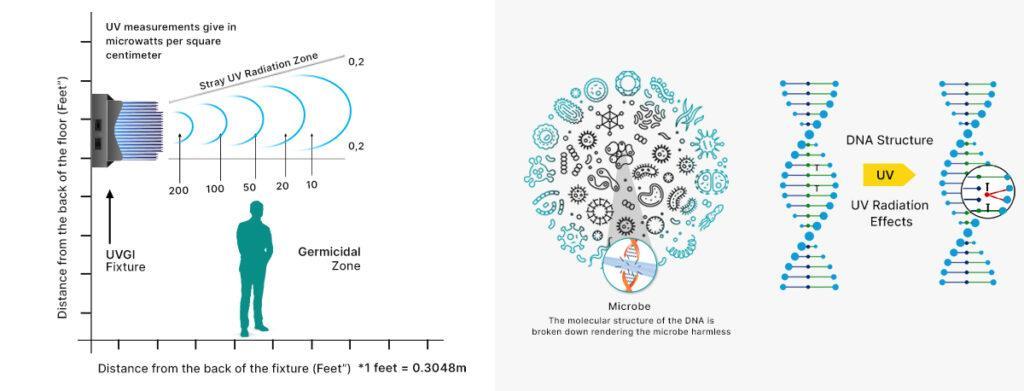 UVGI Solutions for Enhanced Disinfection